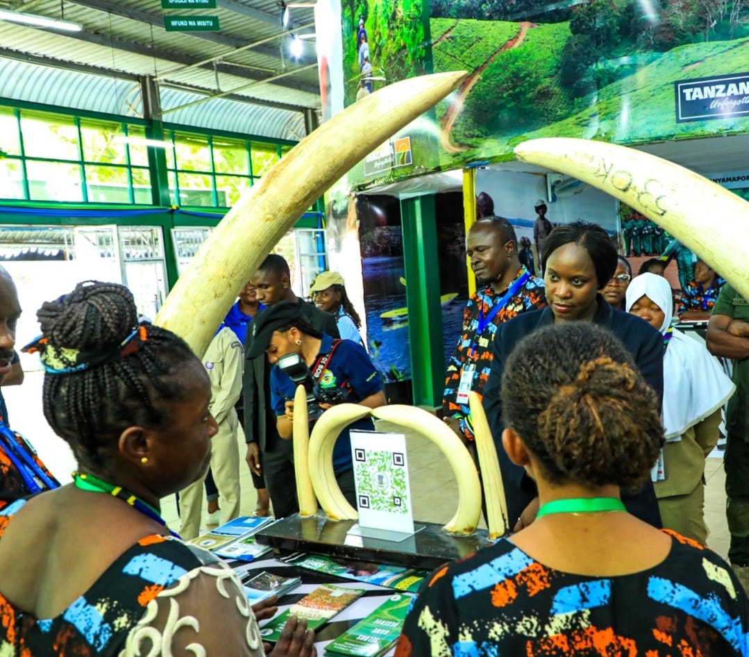 TAWA | MHE. MARY MASANJA AIPONGEZA TAWA KWA KUENDELEZA UTALII WA MALIKALE